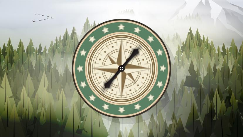 Dynamic Movement with Move FX for Premiere - Film Impact - Film Impact