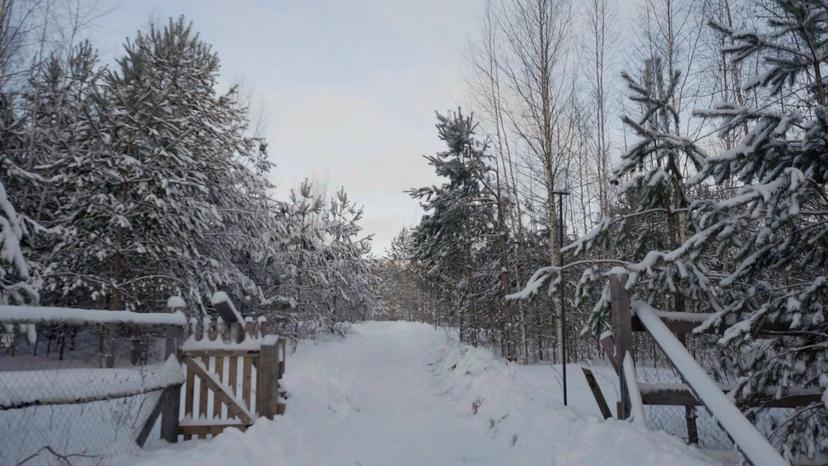 Inject Playful Energy with Wiggle FX for Premiere - Film Impact - Film ...