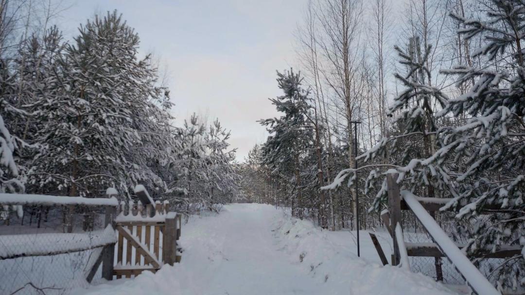 Shake Things Up With Camera Shake Fx Film Impact Film Impact