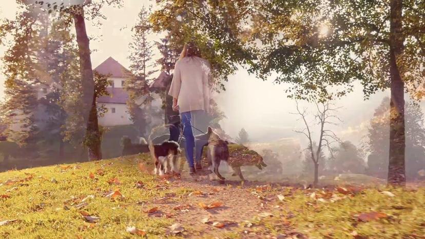 Film Impact Video Transitions Gallery - Film Impact