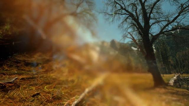 Soft Wipe Transition 🚀 | Smooth Effects with Film Impact - Film Impact