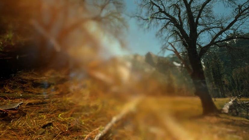 Radial Blur Effect 🚀 | Dynamic Blurs with Film Impact - Film Impact